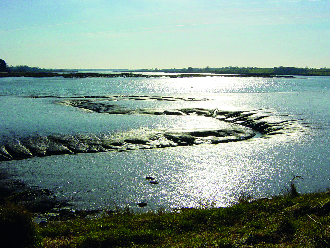 Wetlands & Salt Marshes - Fernhurst Books